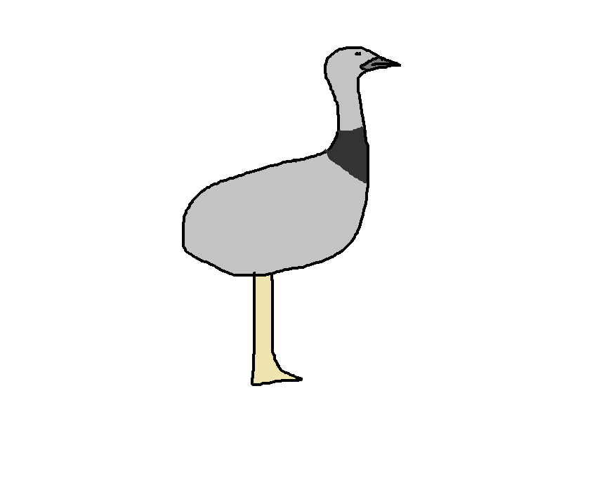 Common Rhea | Species Wiki | Fandom