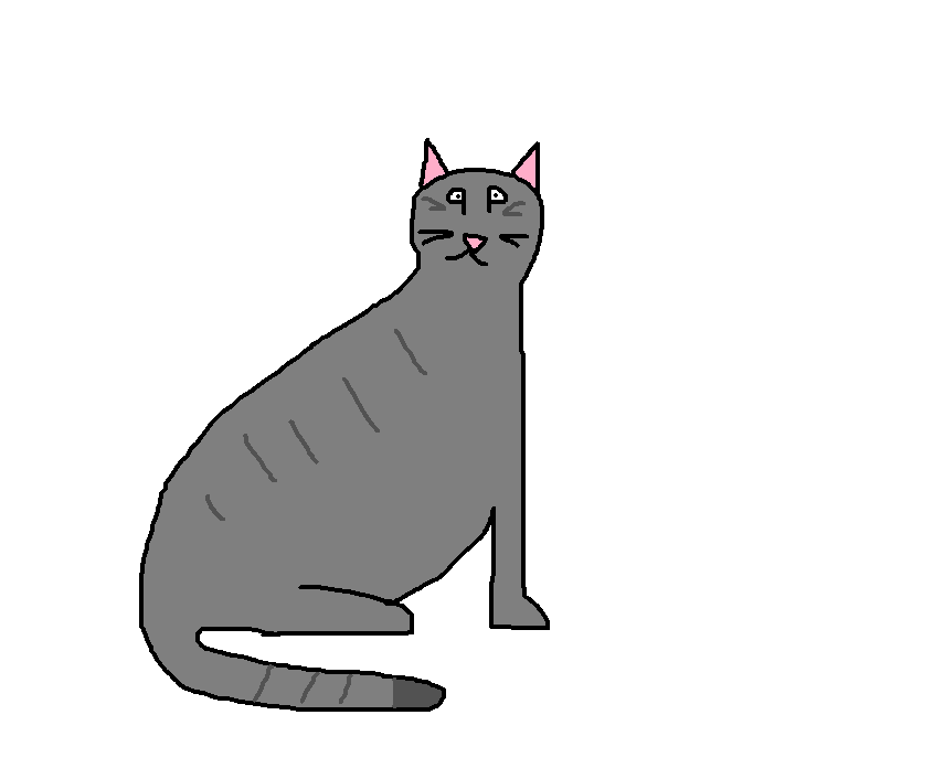 European Wildcat | Species Wiki | Fandom