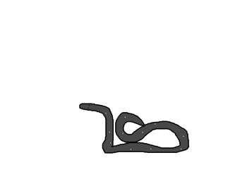 Mexican Burrowing Snake | Species Wiki | Fandom