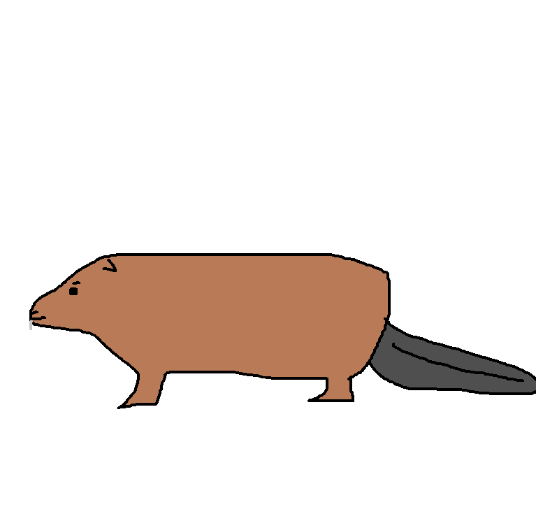 American Beaver | Species Wiki | Fandom