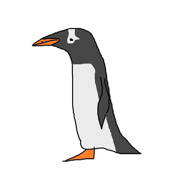 Gentoo Penguin | Species Wiki | Fandom