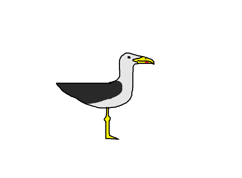 Great Black-backed Gull | Species Wiki | Fandom