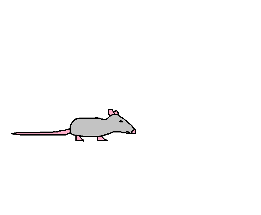 Oldfield Mouse | Species Wiki | Fandom