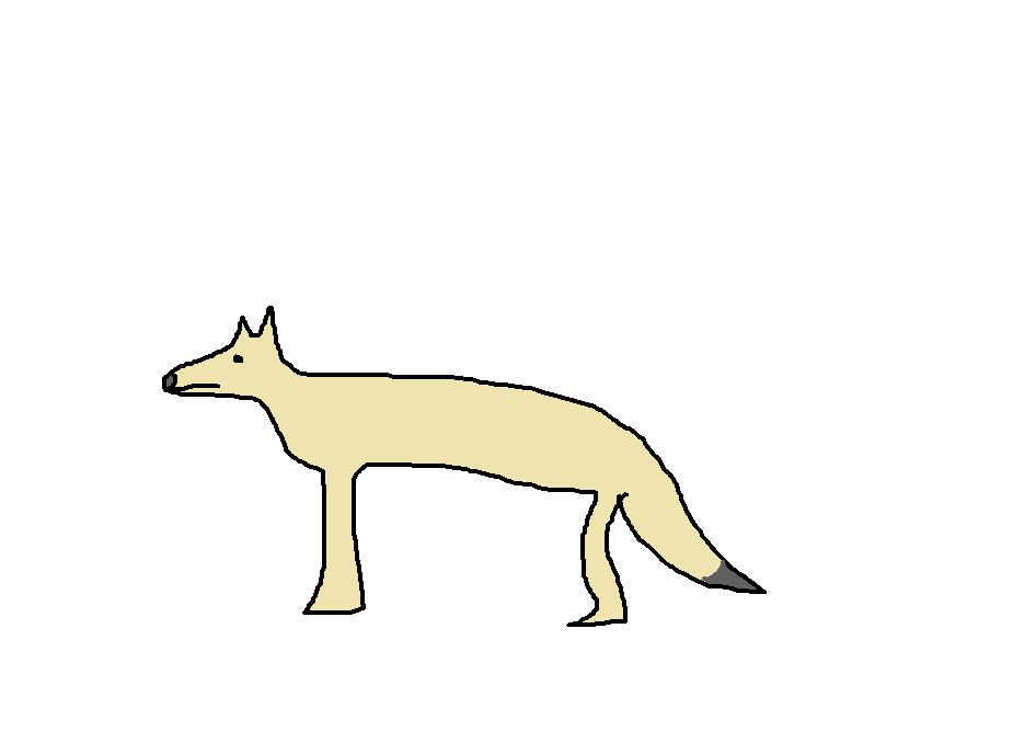 Swift Fox | Species Wiki | Fandom