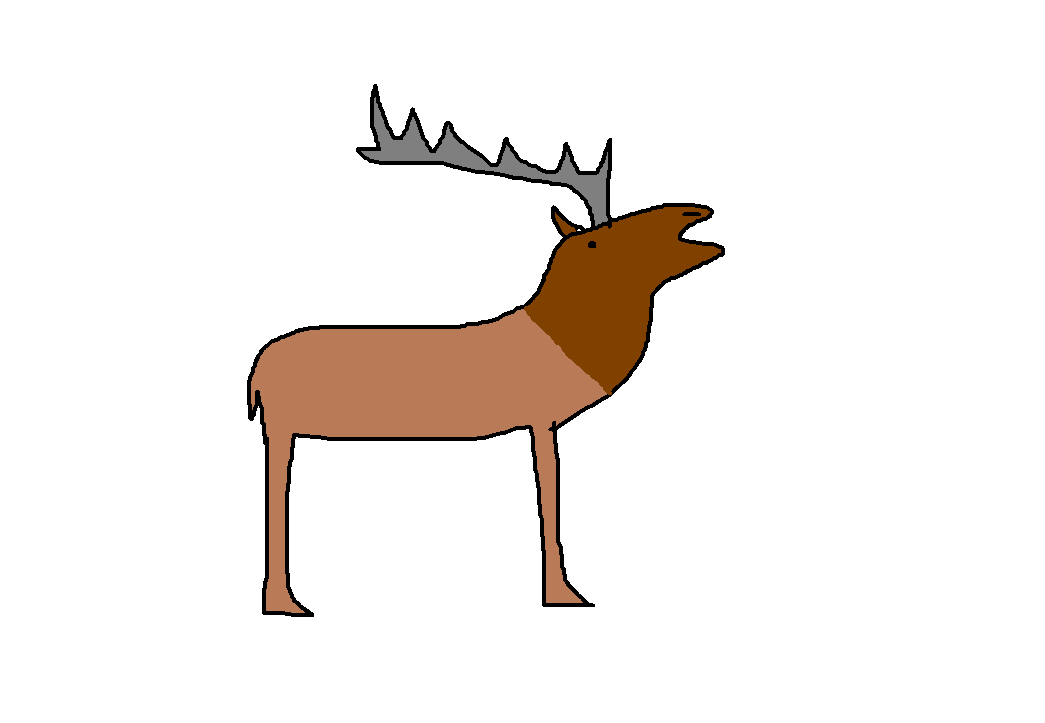 Elk | Species Wiki | Fandom