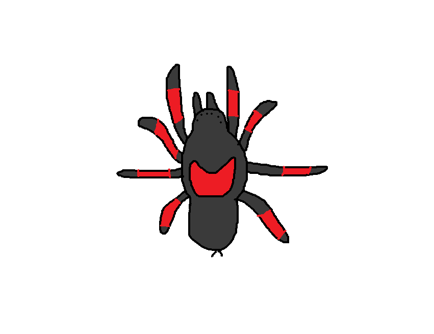 Mexican Red-legged Tarantula | Species Wiki | Fandom
