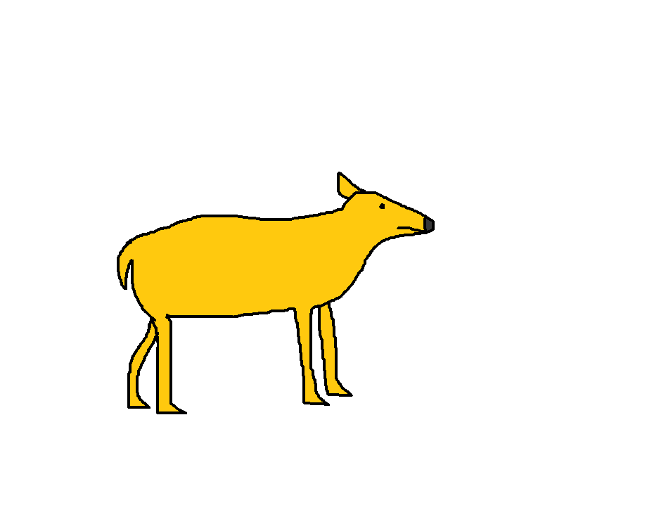 Southern Pudu | Species Wiki | Fandom