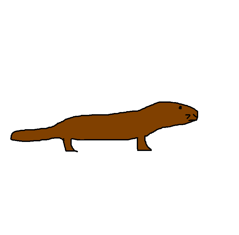 Mountain Beaver | Species Wiki | Fandom
