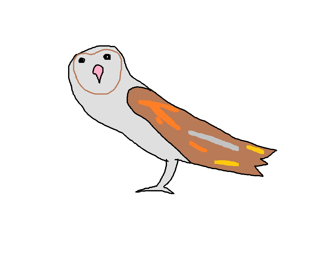 Barn Owl | Species Wiki | Fandom