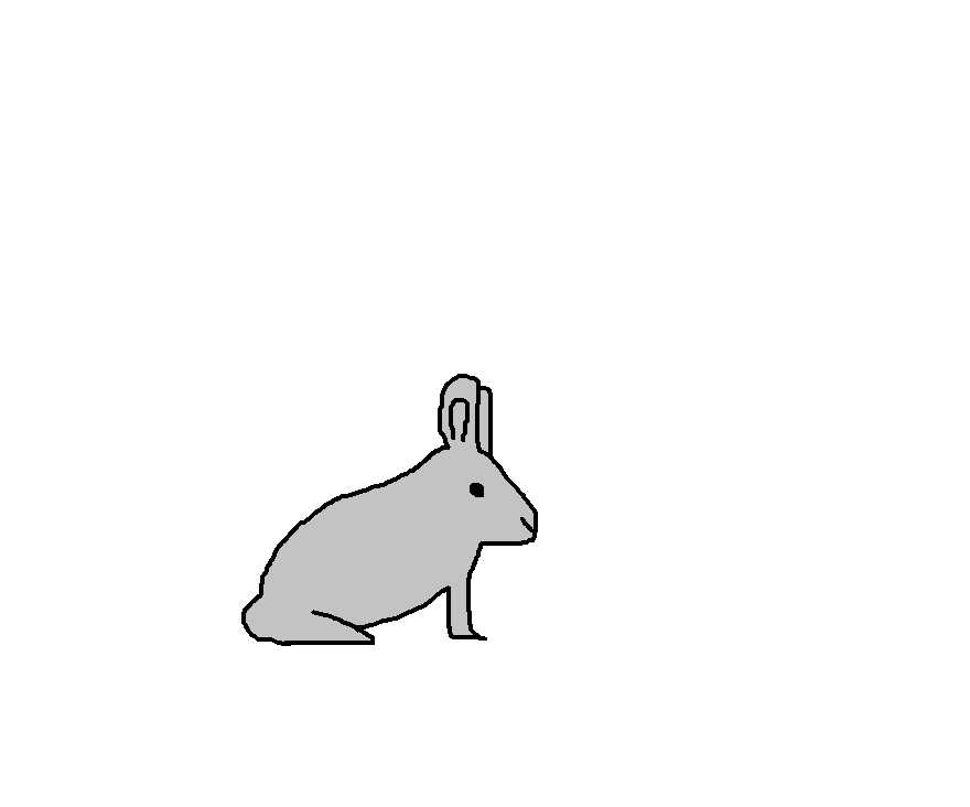Pygmy Rabbit | Species Wiki | Fandom