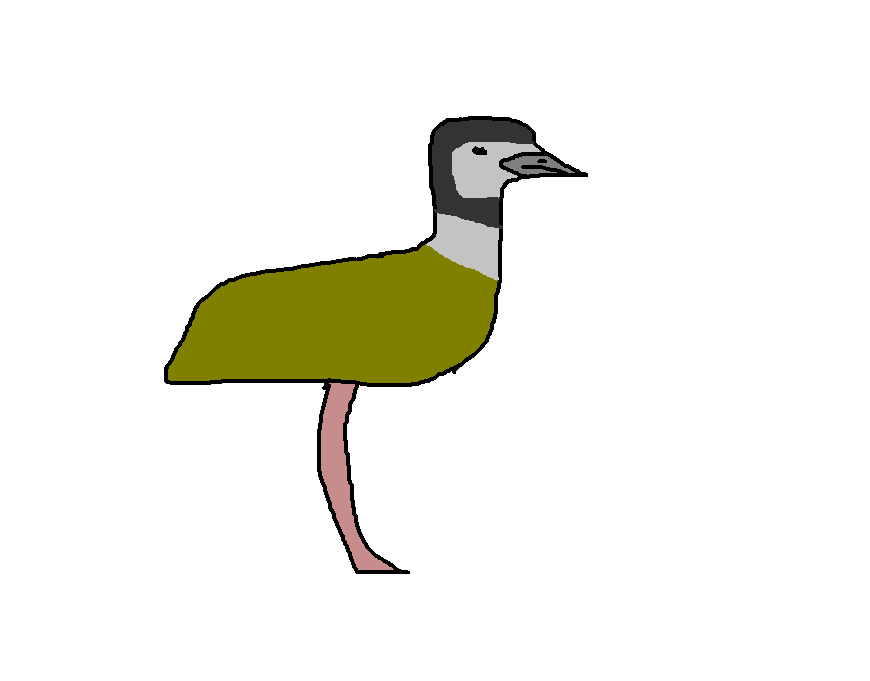 Emu | Species Wiki | Fandom