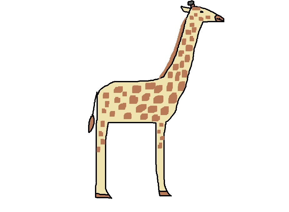 Giraffe | Species Wiki | Fandom