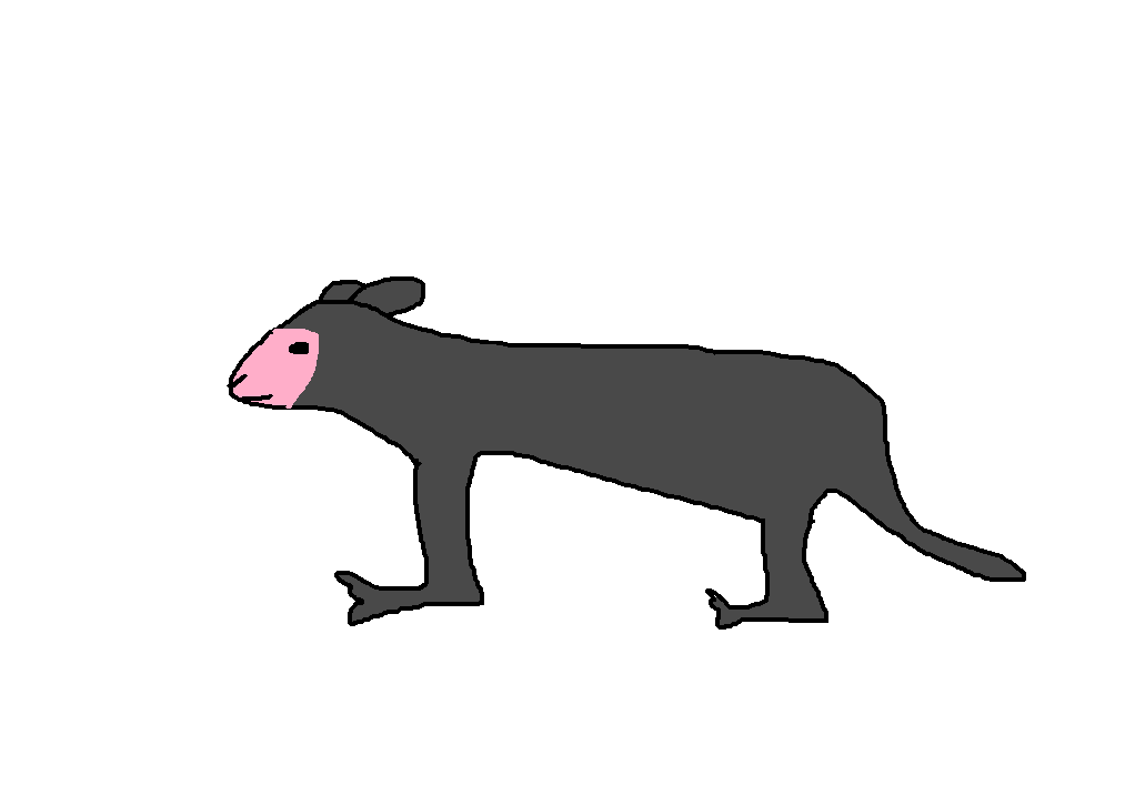 Aye-aye | Species Wiki | Fandom