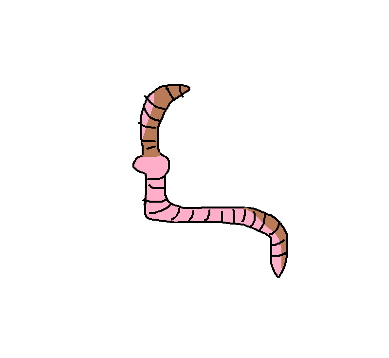 Common Earthworm | Species Wiki | Fandom