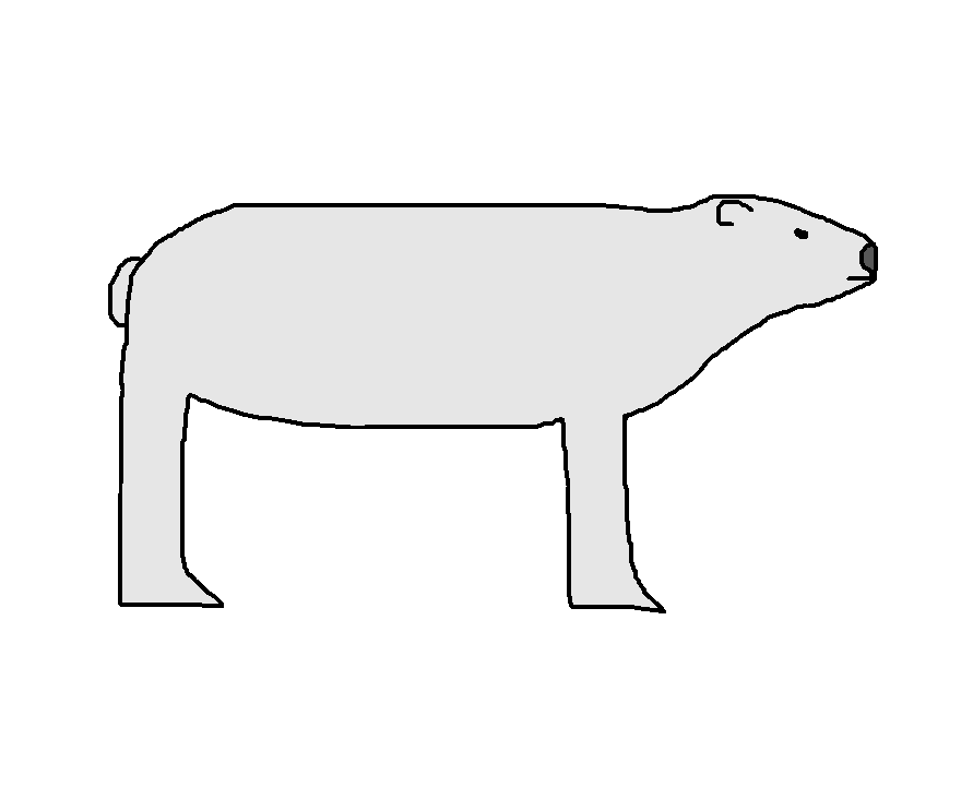 Polar Bear | Species Wiki | Fandom