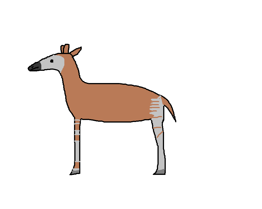 Okapi | Species Wiki | Fandom