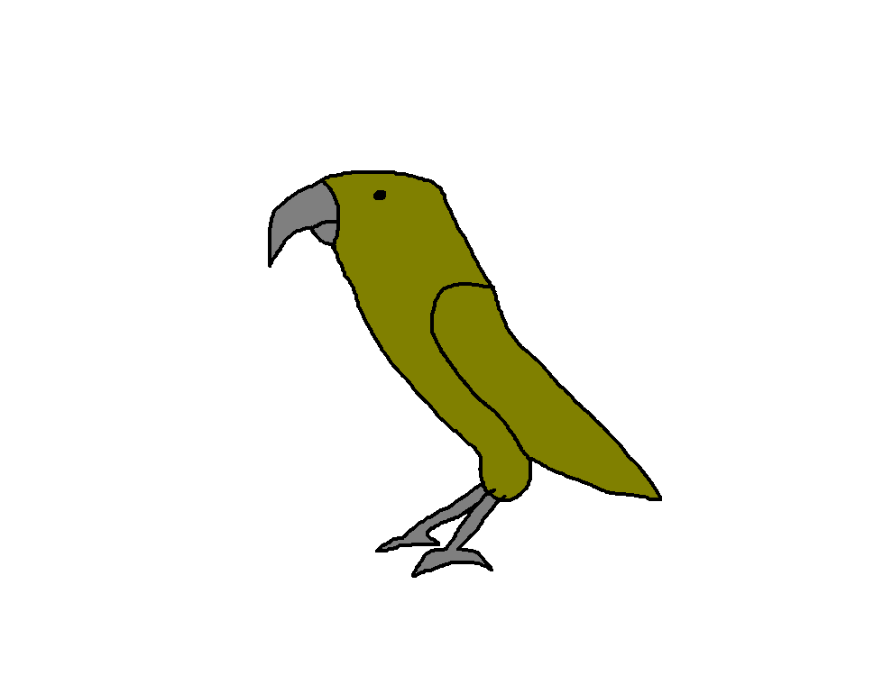 Kea | Species Wiki | Fandom