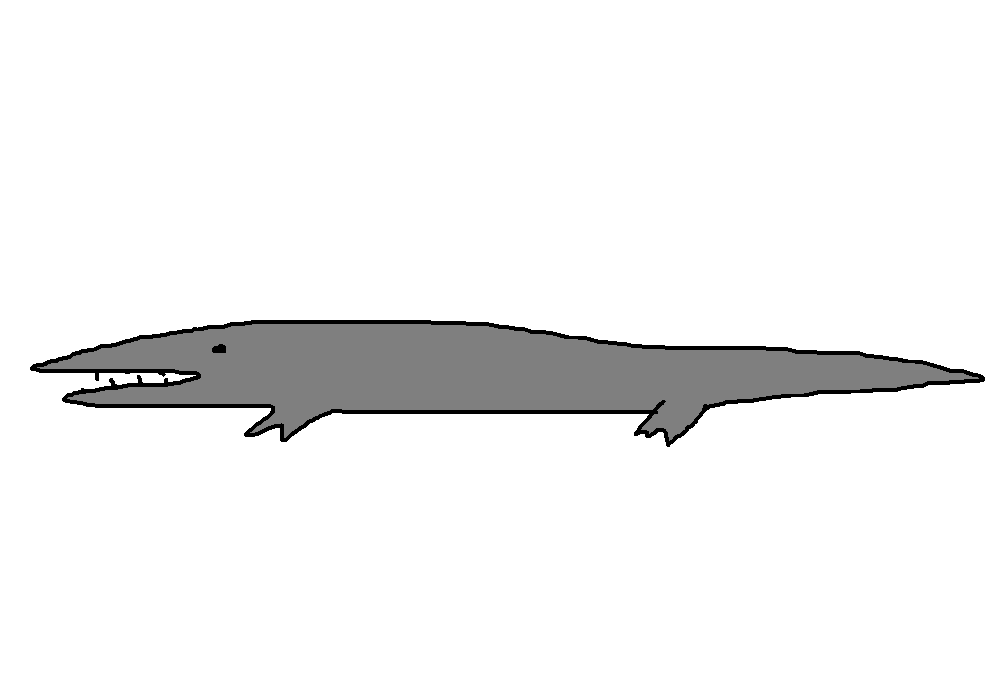 American Alligator | Species Wiki | Fandom