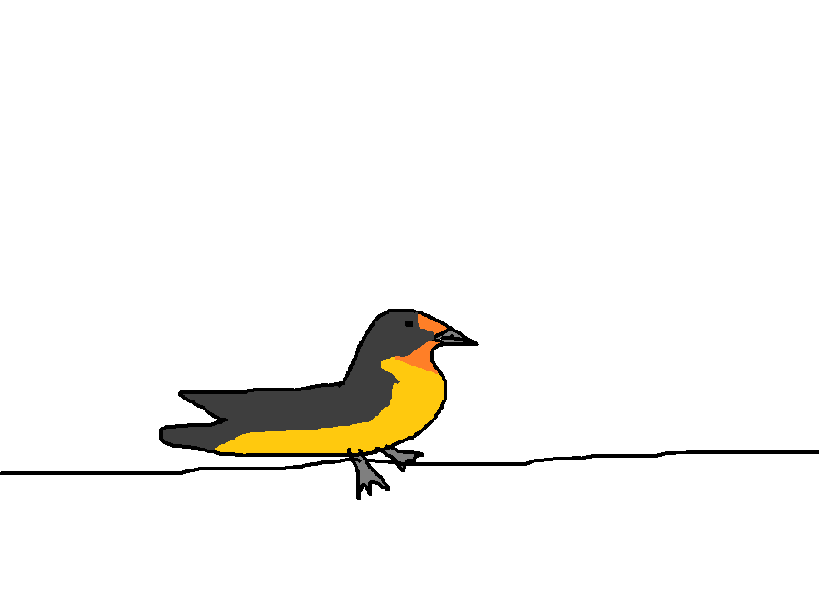 Barn Swallow | Species Wiki | Fandom