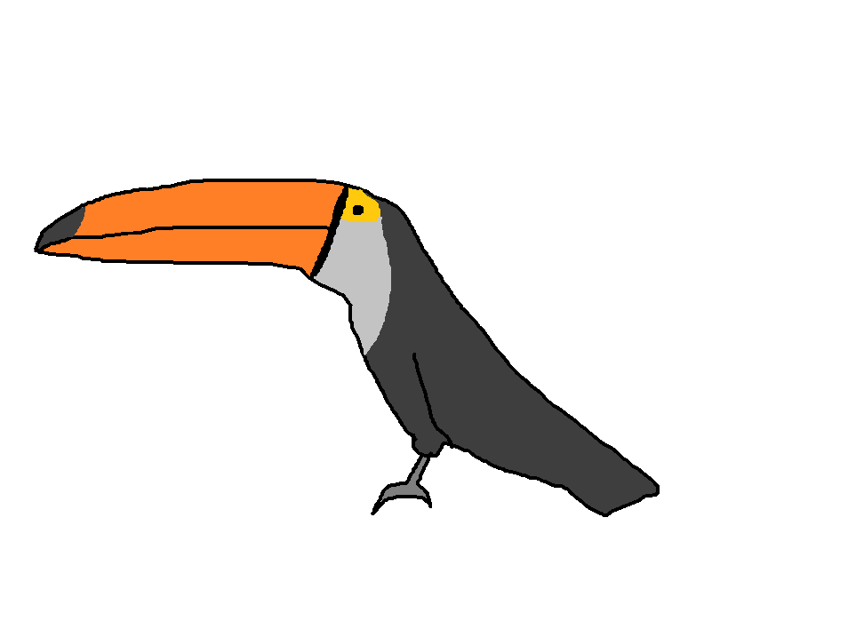 Toco Toucan | Species Wiki | Fandom