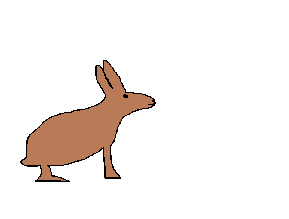 European Hare | Species Wiki | Fandom