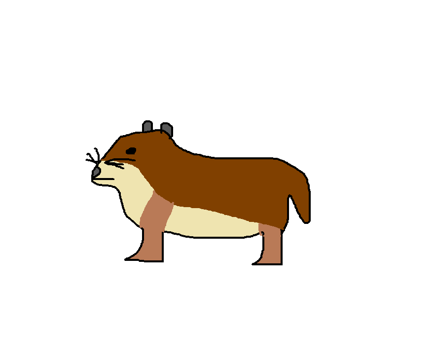 Rock Hyrax | Species Wiki | Fandom