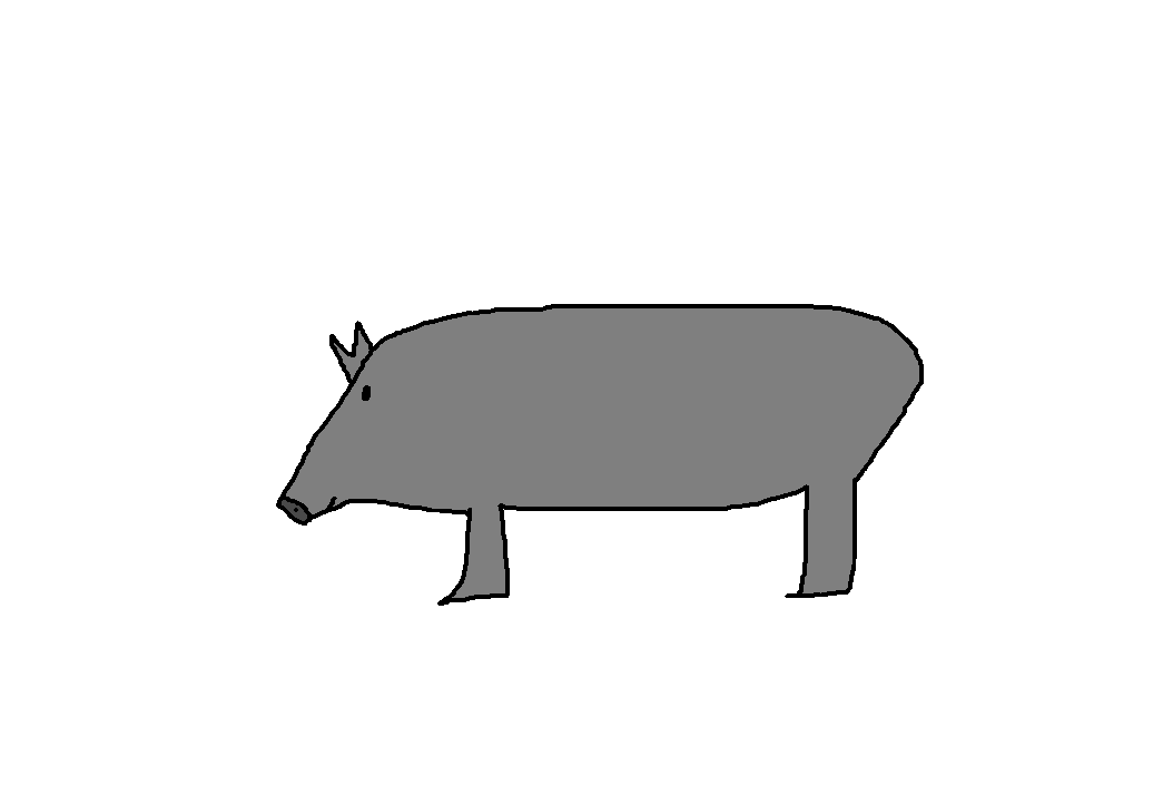 Collared Peccary | Species Wiki | Fandom