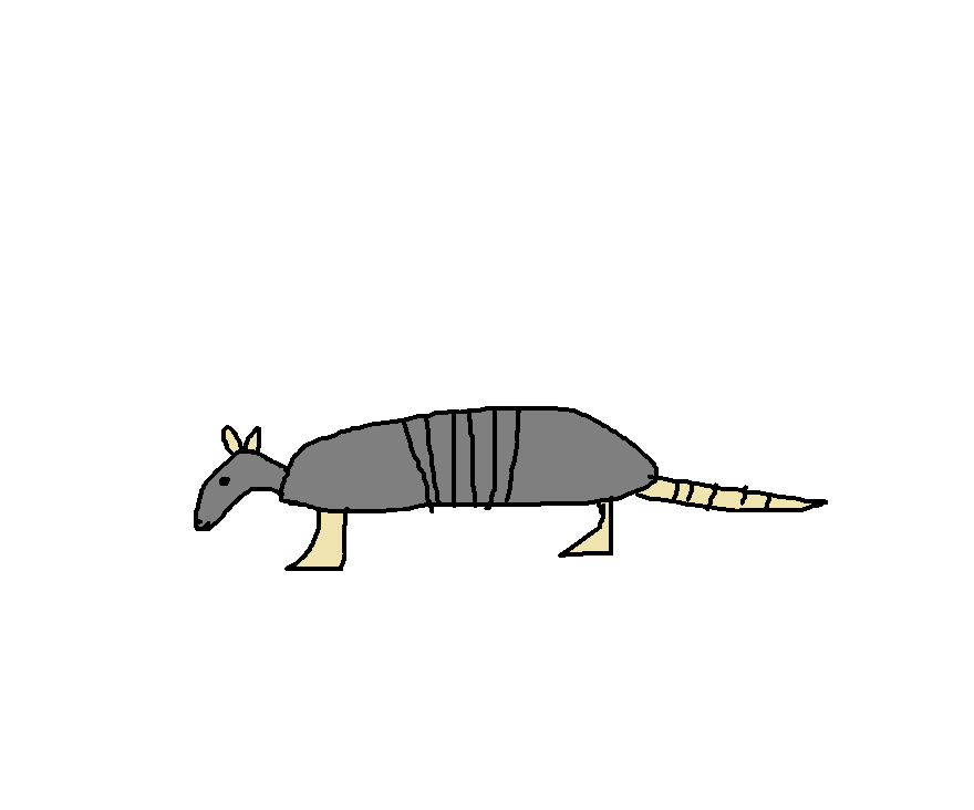 Nine-banded Armadillo | Species Wiki | Fandom