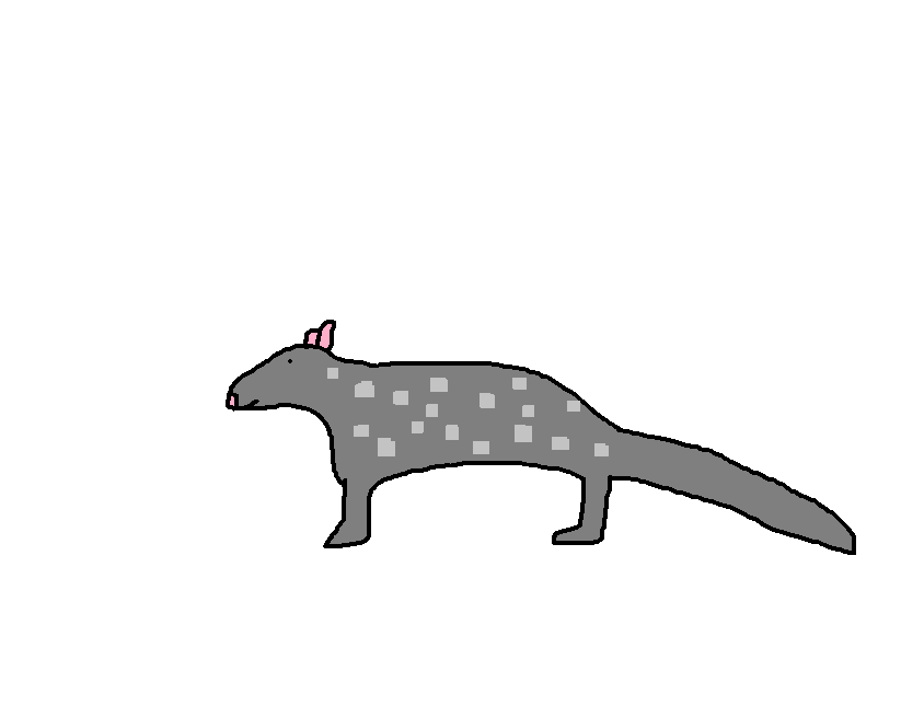Eastern Quoll | Species Wiki | Fandom