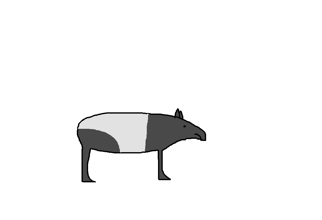 Malay Tapir | Species Wiki | Fandom