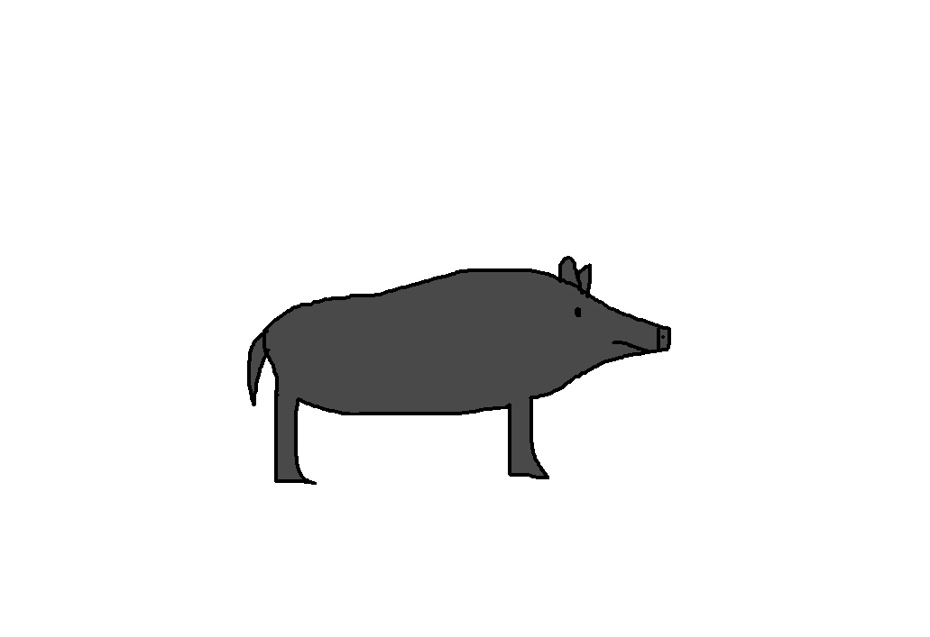 Wild Boar | Species Wiki | Fandom