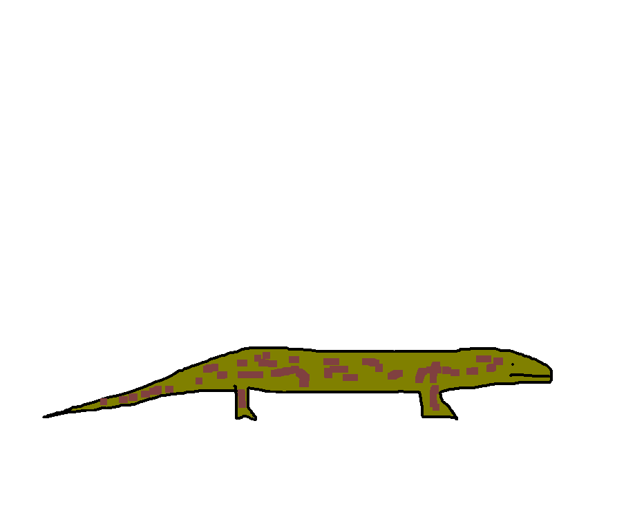 Sand Lizard | Species Wiki | Fandom