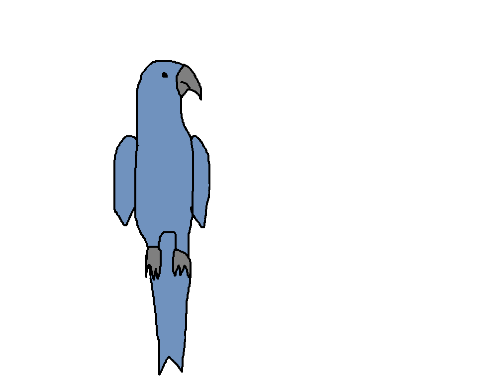 Spix's Macaw | Species Wiki | Fandom