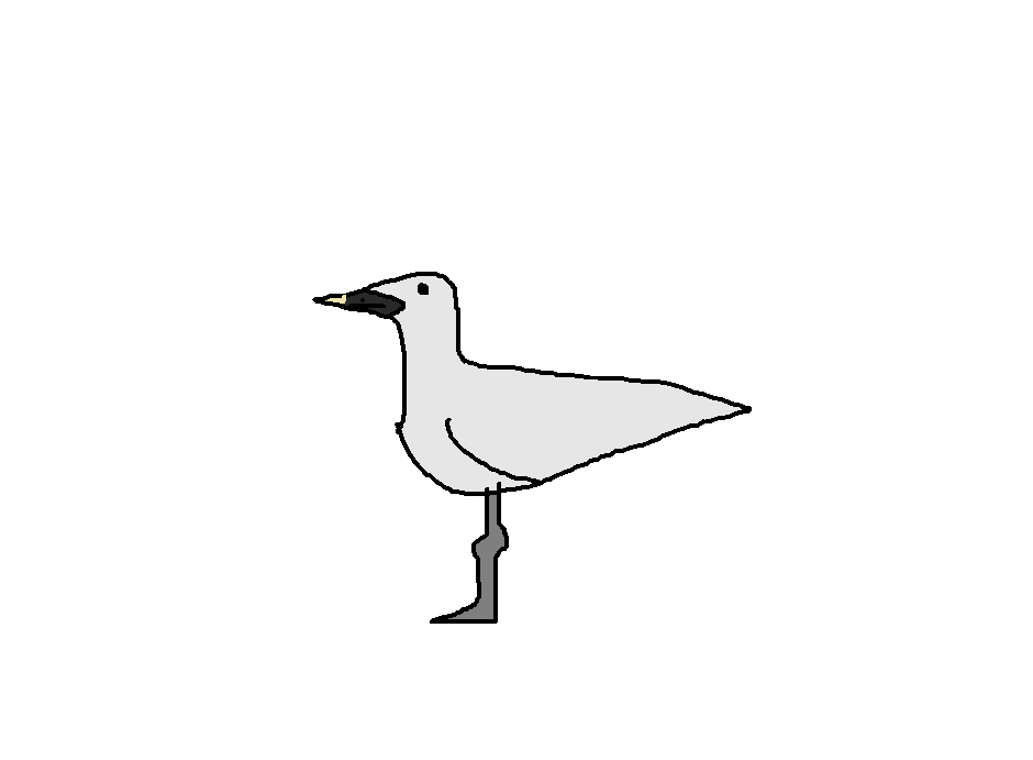 Ivory Gull | Species Wiki | Fandom