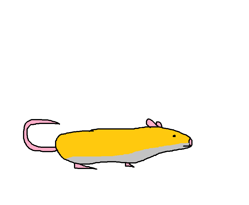 Eurasian Harvest Mouse | Species Wiki | Fandom
