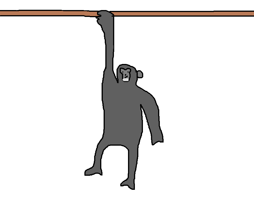 Siamang | Species Wiki | Fandom