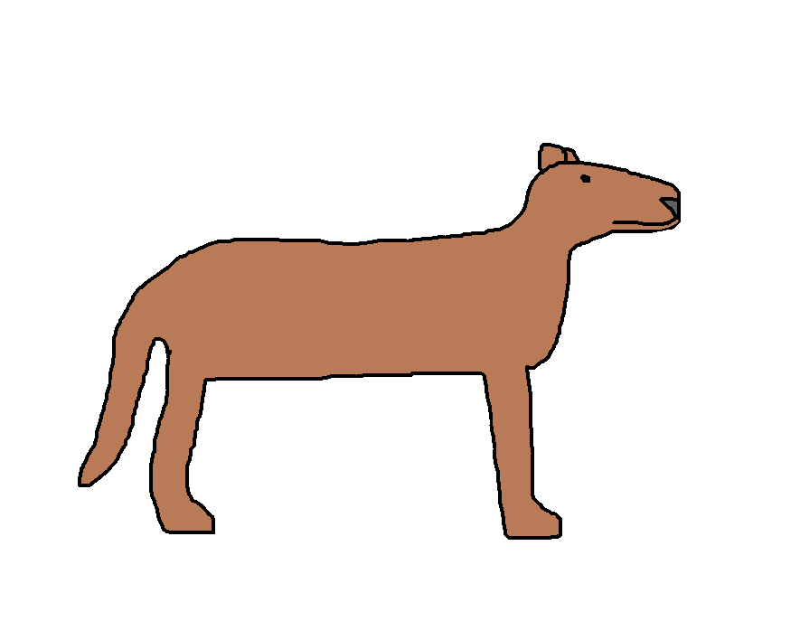Fossa | Species Wiki | Fandom