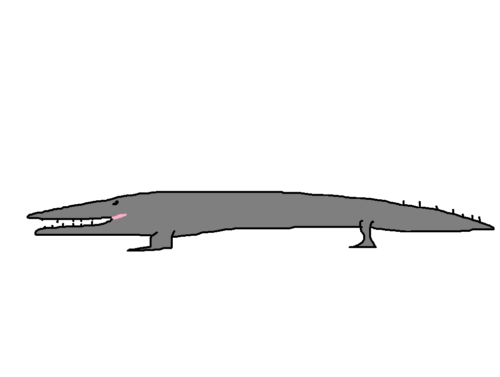 Black Caiman | Species Wiki | Fandom
