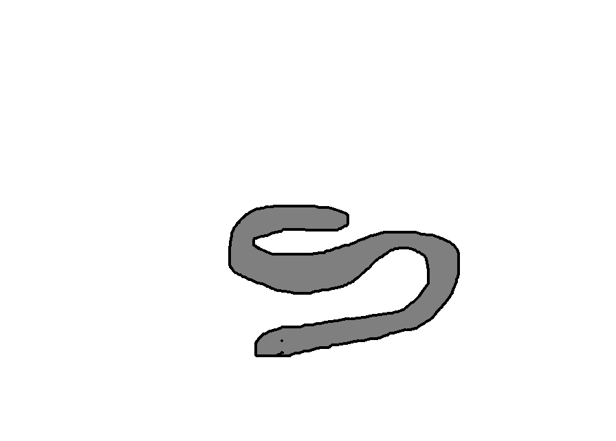 Mexican Caecilian | Species Wiki | Fandom