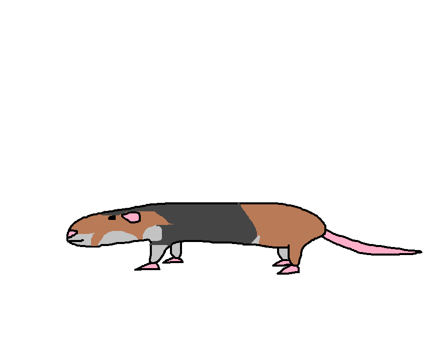 Common Hamster | Species Wiki | Fandom