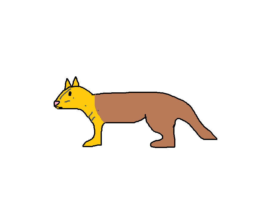 Rusty-spotted Cat | Species Wiki | Fandom