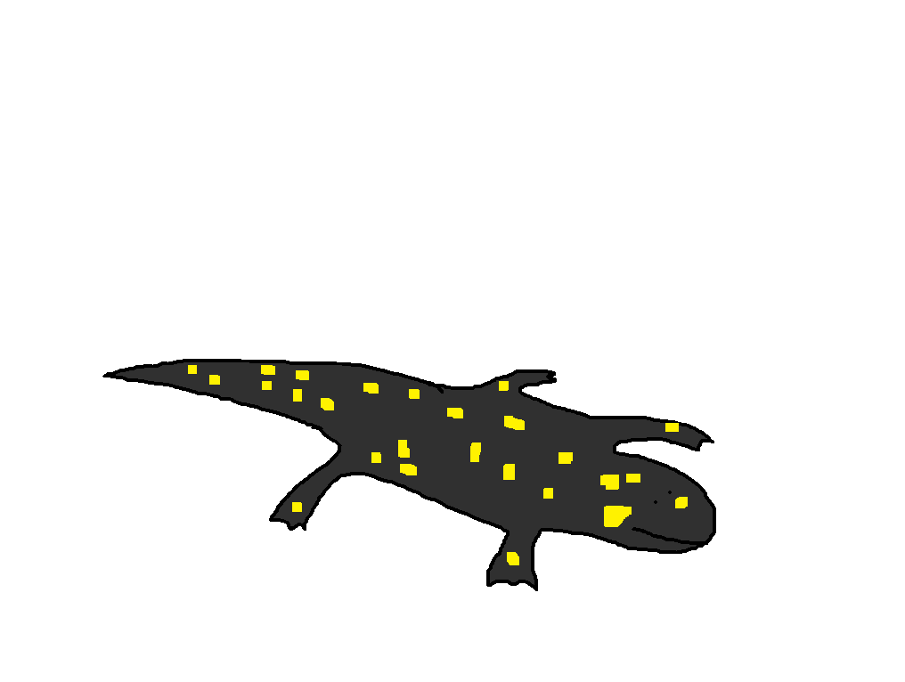 Fire Salamander | Species Wiki | Fandom