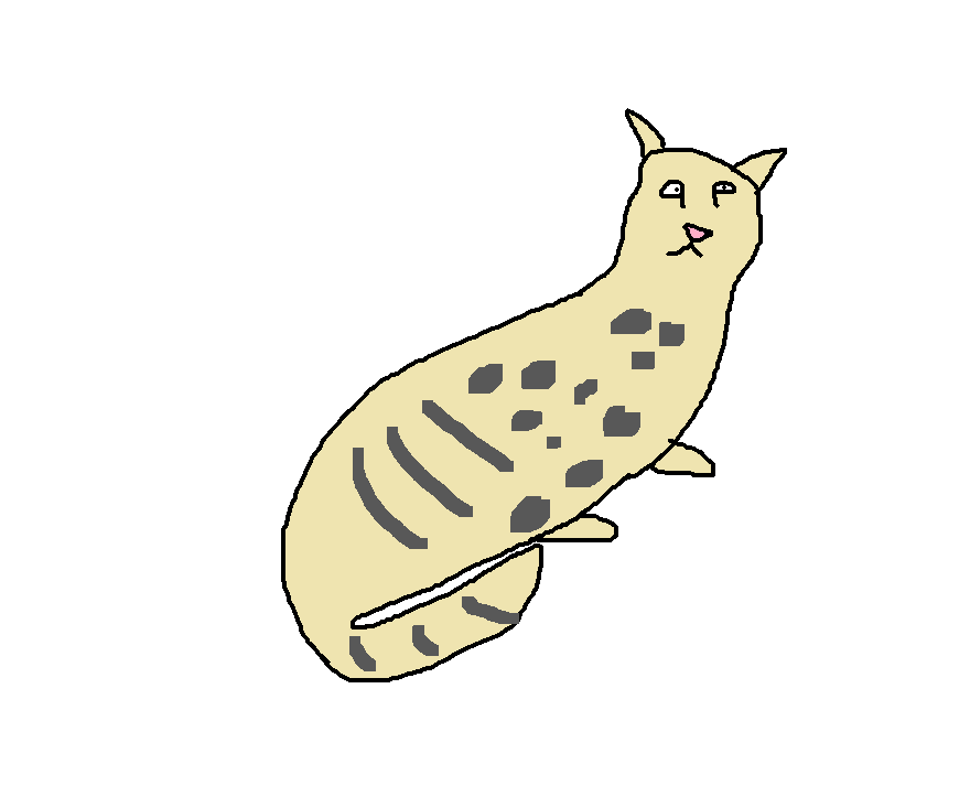 Pampas Cat | Species Wiki | Fandom