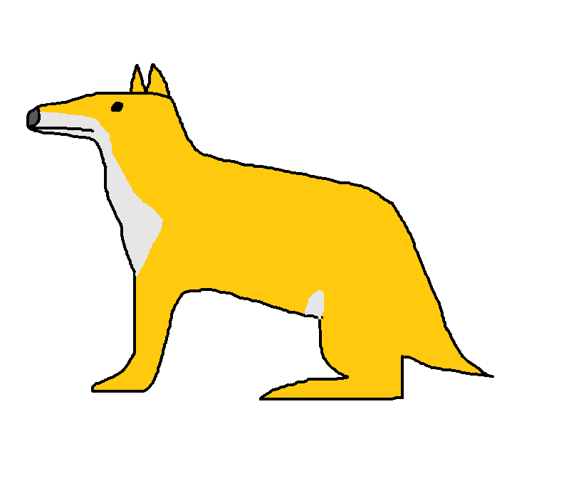 Dingo | Species Wiki | Fandom