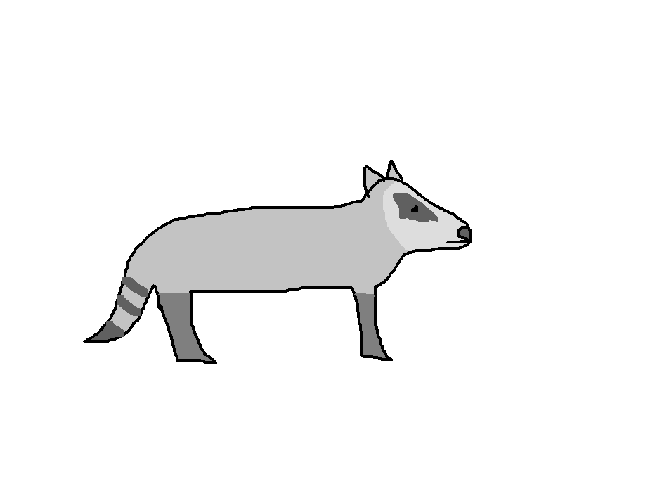 Northern Raccoon | Species Wiki | Fandom