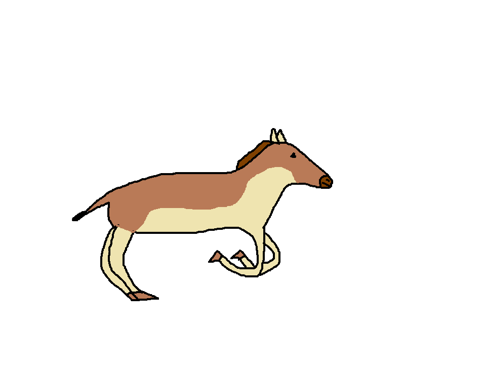 Onager | Species Wiki | Fandom