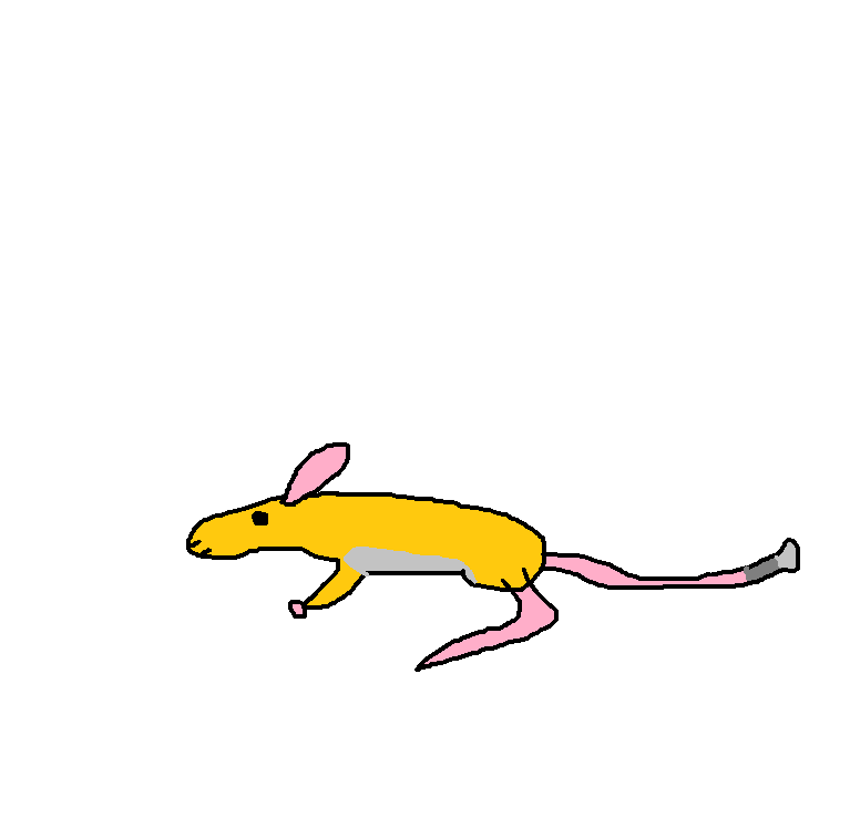 Four-toed Jerboa | Species Wiki | Fandom