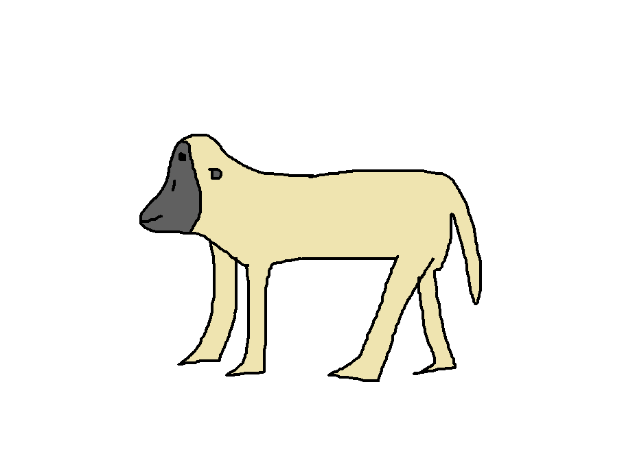 Olive Baboon | Species Wiki | Fandom