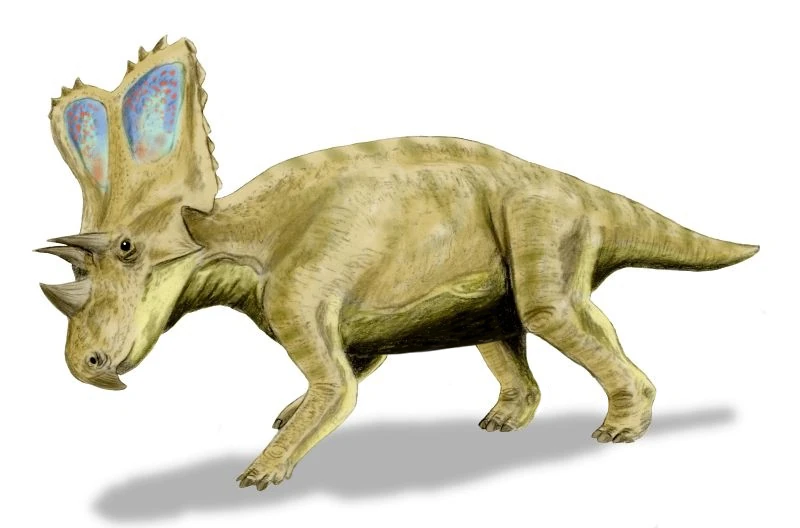 Chasmosaurus | Speciespedia Wiki | Fandom