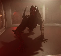 009 | Speciesunknown Wiki | Fandom